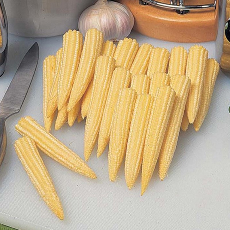 Price: €1.85 - Mini Gold sweet corn seeds