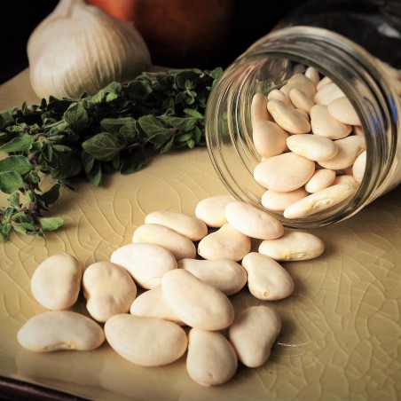 Cena: €1.65 – Seme dzinovskog pasulja Eureka