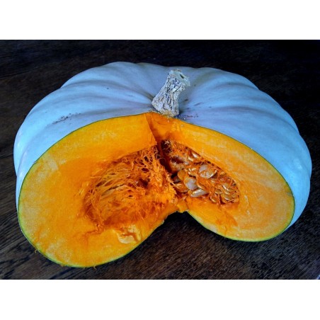 Price: €2.15 - Prince Crown Pumpkin Seeds