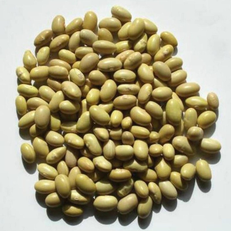 Cena: €1.75 – Seme pasulja Canario, Peruano, Peruanski pasulj