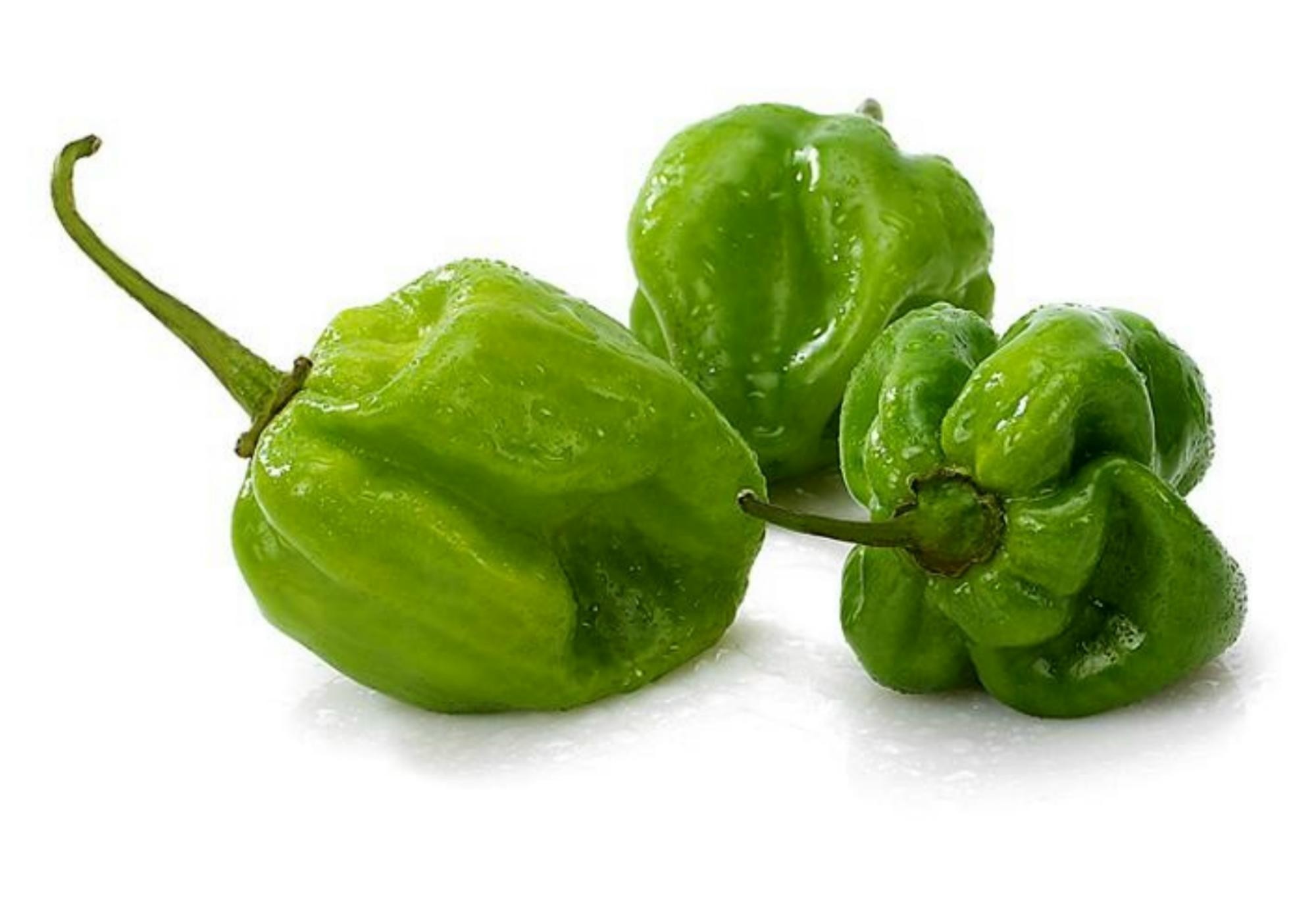 Prix : €1.95 - Graines de Piments Habanero Green - Vert