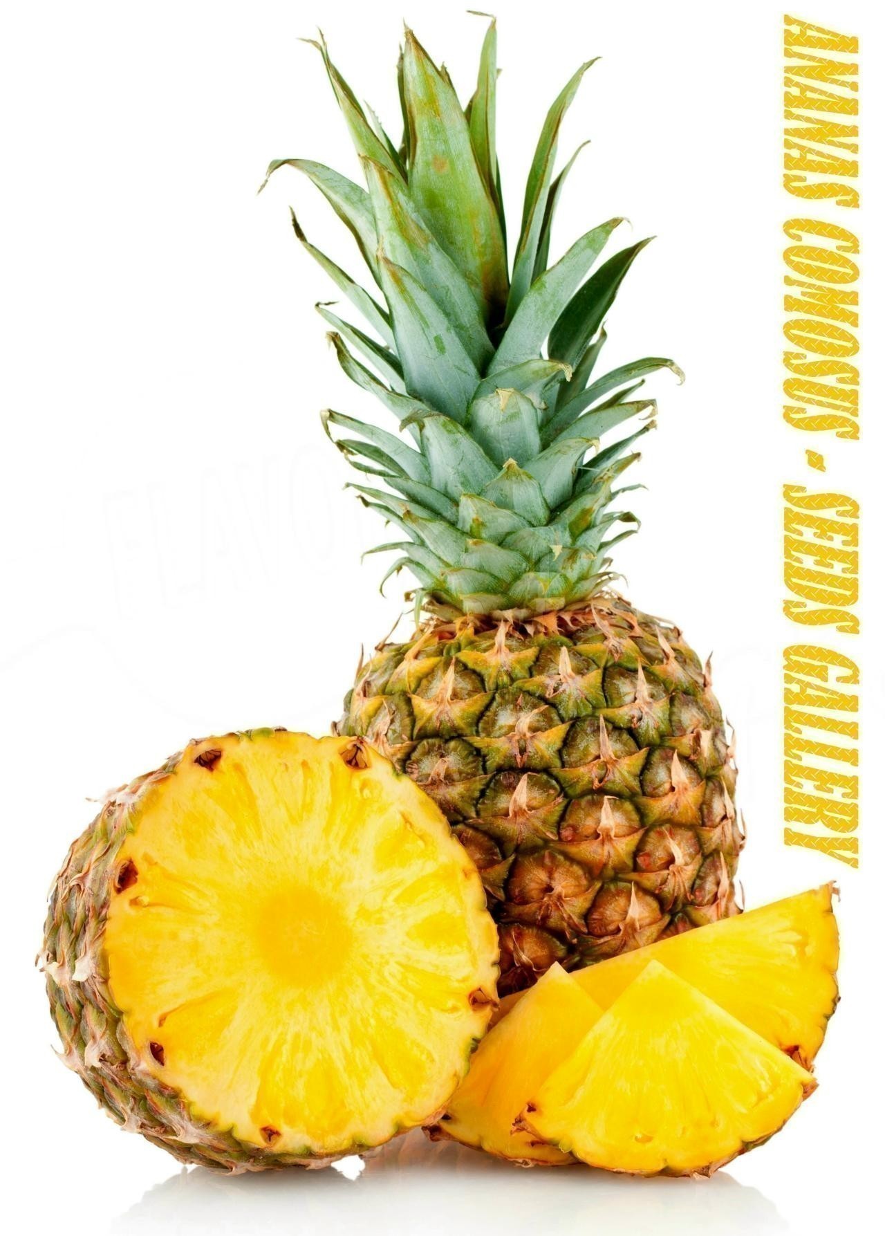 Precio: €3.50 - Semillas de Ananás (Ananas comosus)