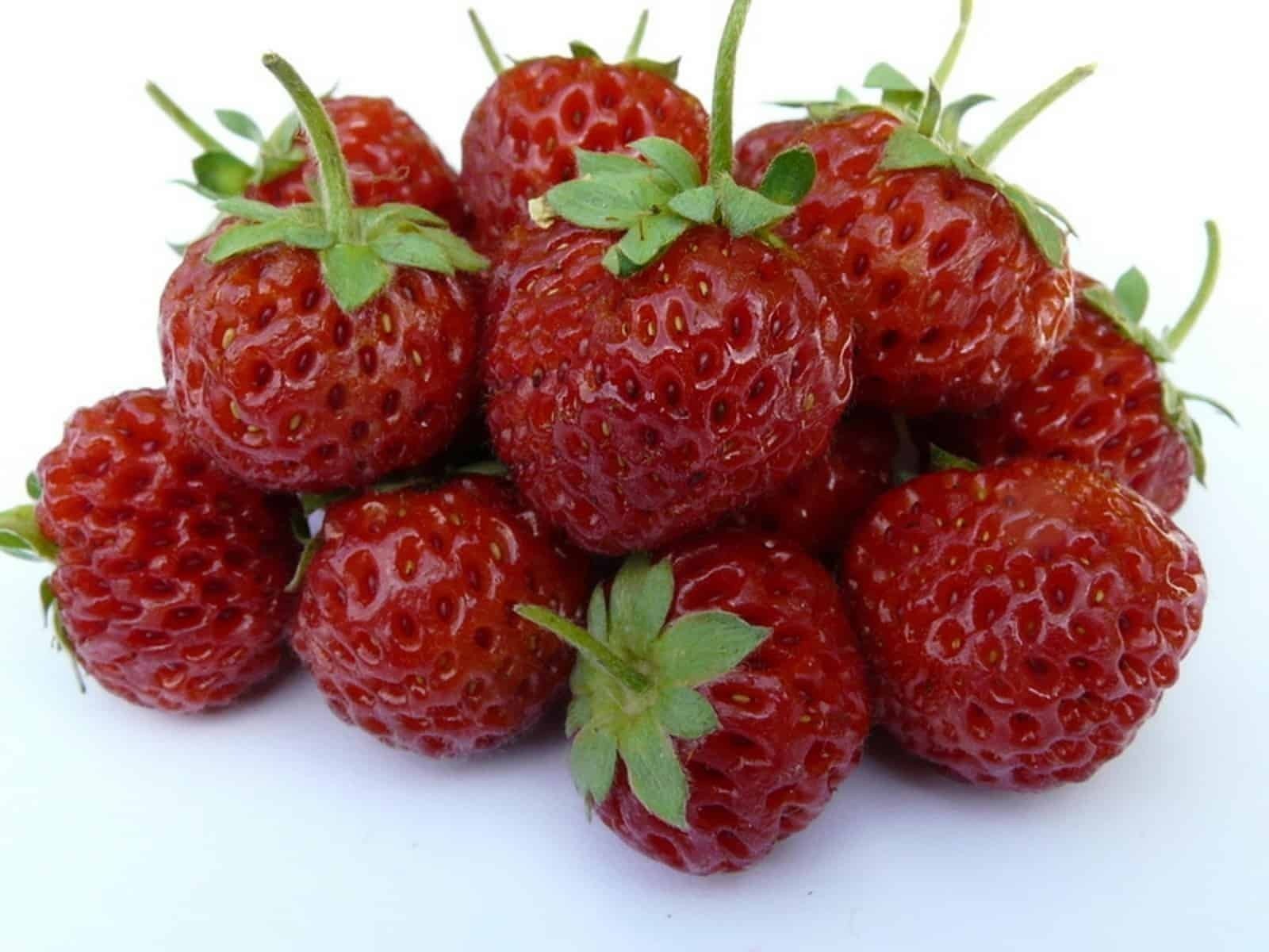 Rare “Framberry” Strawberrie Seeds “RED DREAM” | €4.00🌸🌿🌱🌳🌼