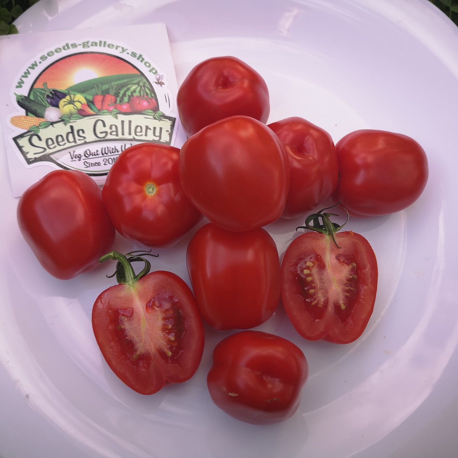 Cena: €1.55 – Apple Tomato Seeds